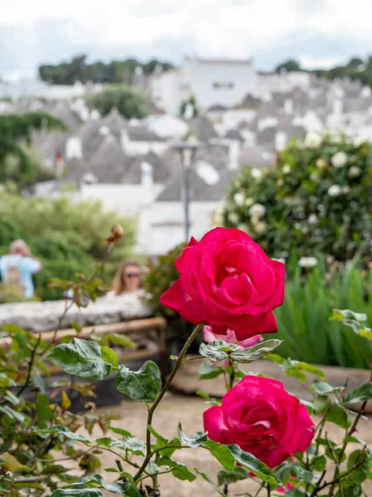 A Trulli Fun Day Trip to Alberobello: How to Get Here, What You Need to ...
